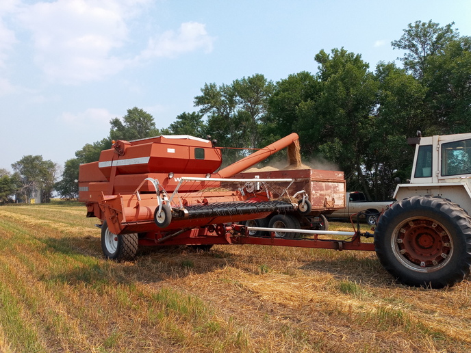 2188 setup for oats with specialty rotor | Yesterday's Tractors Forums