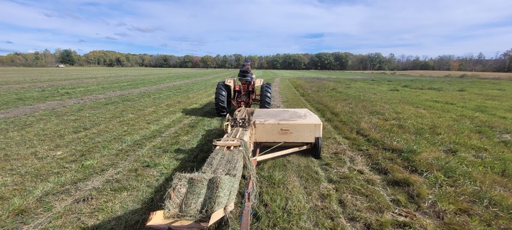 Baled some hay | Yesterday's Tractors Forums