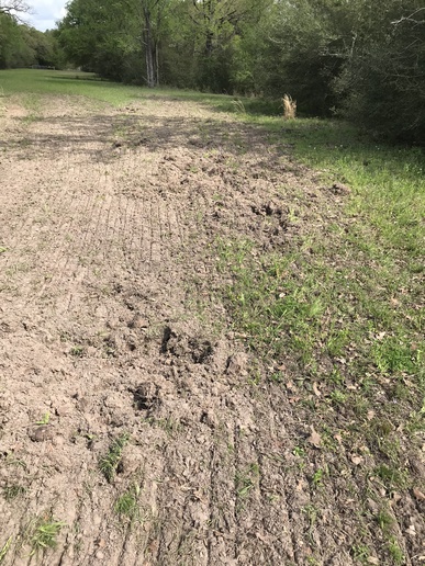 Repairing hog damage | Yesterday's Tractors Forums