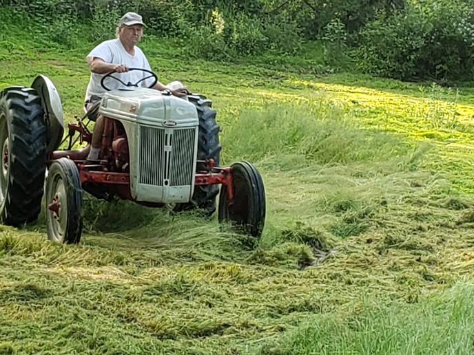 1948 Ford 8n with Bush Hog | Yesterday's Tractors Forums