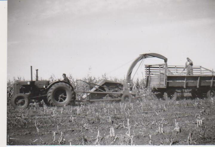 Silage cutting pictures over the years | Yesterday's Tractors Forums