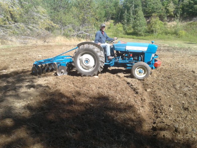 Farmall M American Road Grader | Yesterday's Tractors Forums
